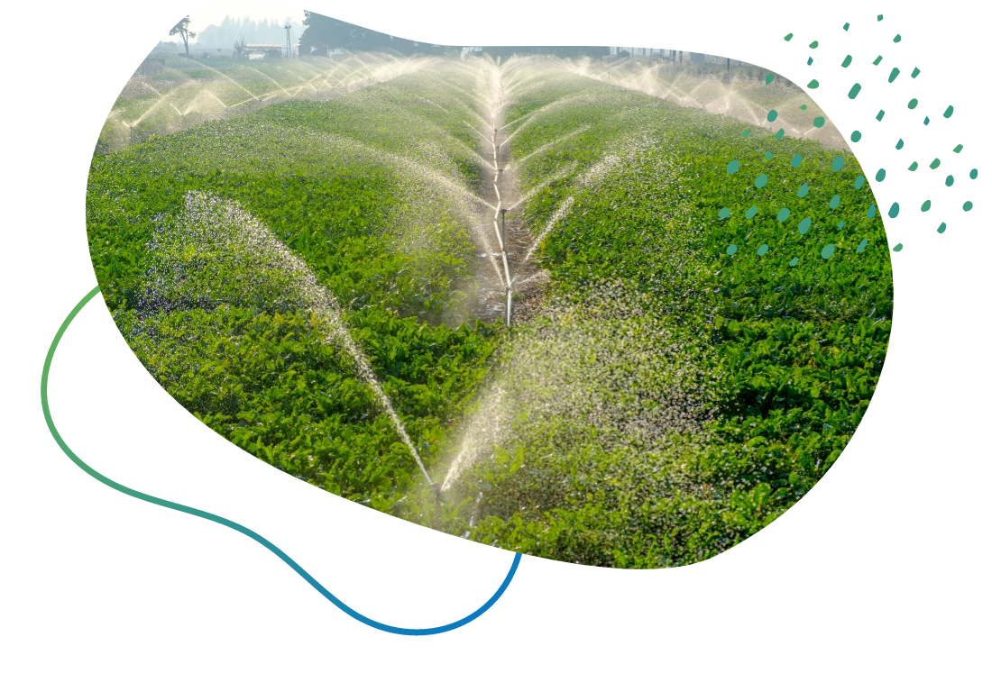 Energia | CAP Evolution